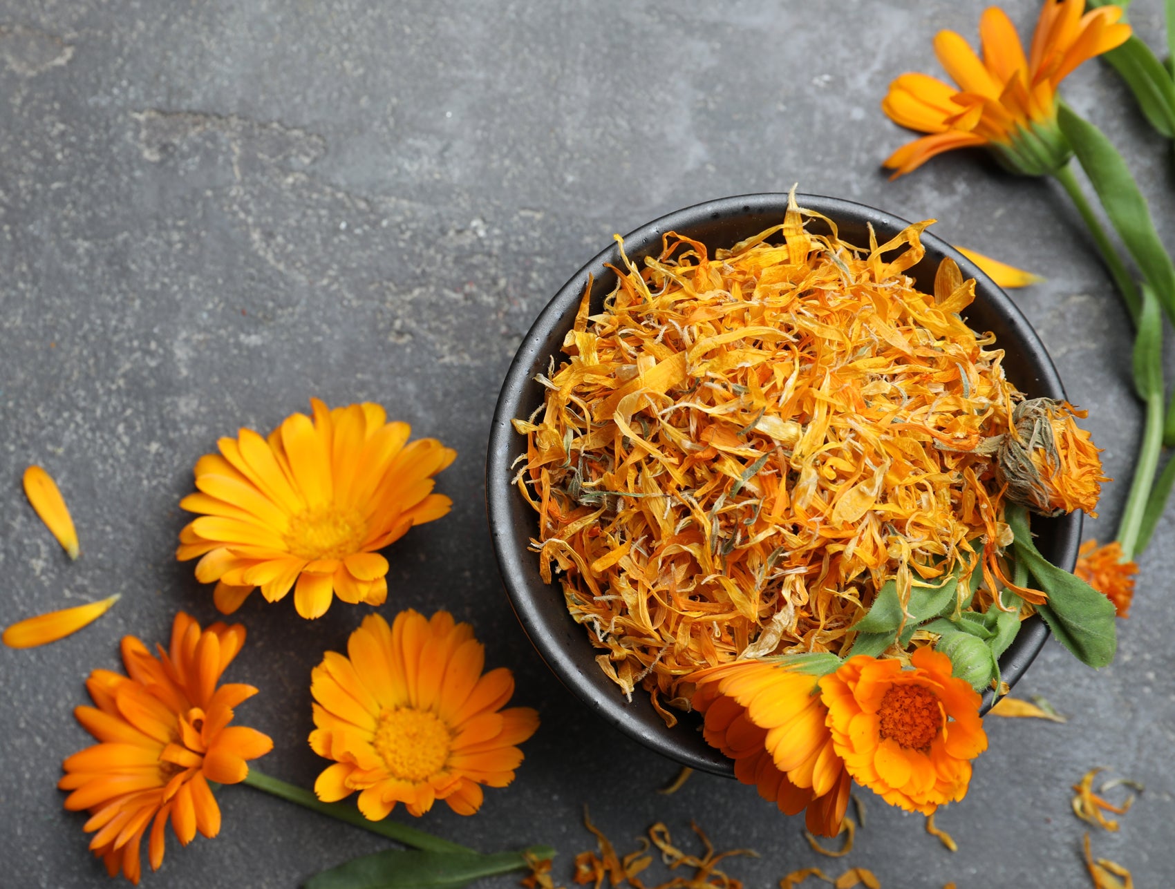 Exploring the Benefits of Marigold – Life Sprout Bioceuticals ...